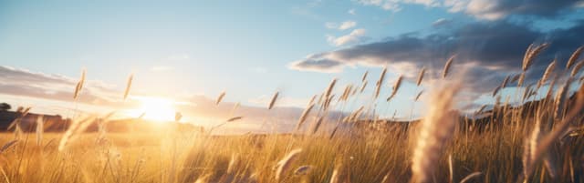 Tribute Wall | Ms. Selena Hamilton